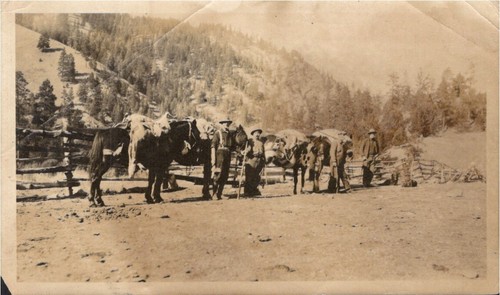 Idaho Ranch Hands Cowboys 1920s Photograph Names On Back OOAK | eBay