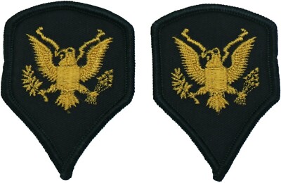 2 US Vietnam Era Army Specialist E-4 SPC SPC4 Rank Patch Enlisted Dirty ...