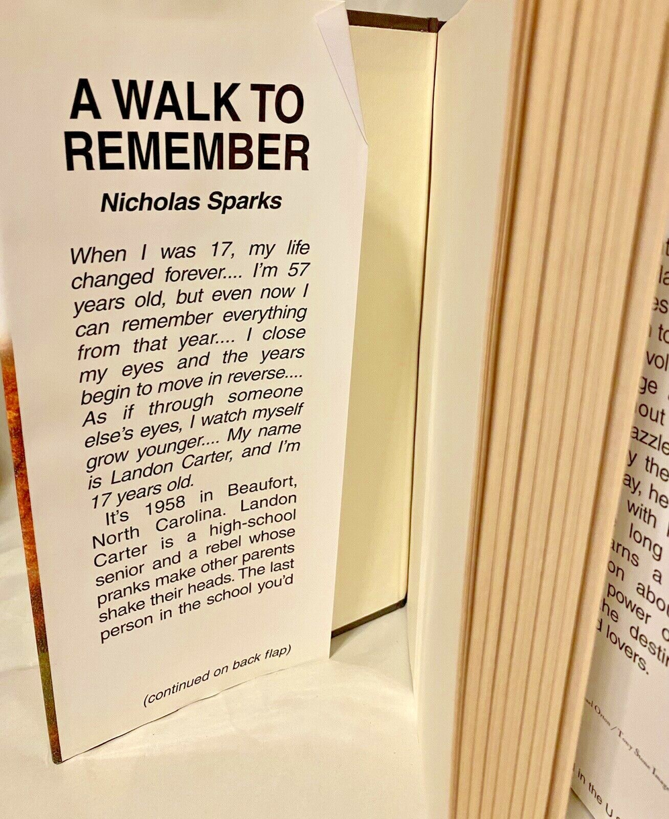 A Walk To Remember Original Book Cover