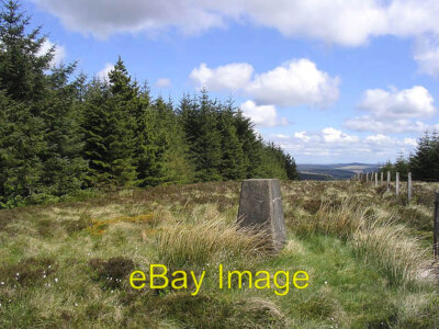 Photo 6x4 The trig point on Dod Fell Dod Fell/NY3296 At 463m with a ...