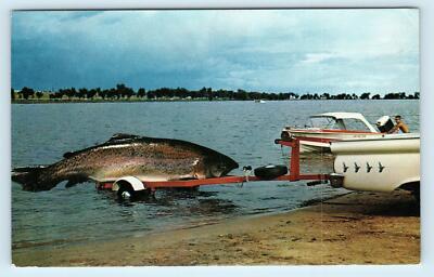 FISH EXAGGERATION Postcard: FILLS UP the TRAILER! c1950s Car Fishing ...