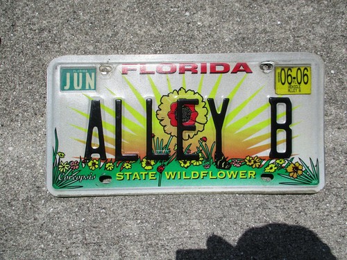 Florida 2006 State Wildflower license plate # ALLEY B | eBay