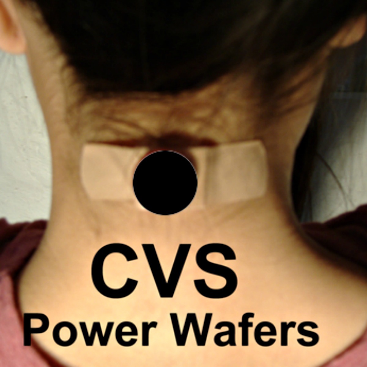 ORGAN THERAPY Health Magnets Liver Kidneys Brain Magnetic Energy ...