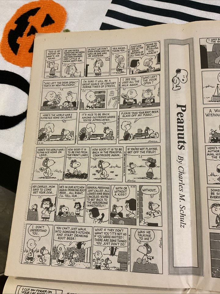 1999 Storyline Strips Lot Of 10 Newspaper Comic Strip Reprints 2 Weeks ...
