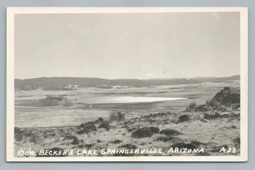 Becker Lake SPRINGERVILLE Arizona RPPC Vintage Photo Postcard 1940s | eBay