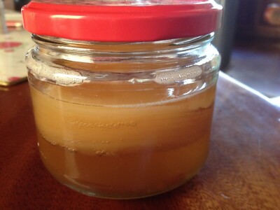 SCOBY kombucha for making Fermented tea. Natural strains probiotics Gut ...
