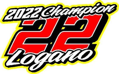 22 Joey Logano 2022 Nascar Cup Champion vinyl window decal sticker | eBay
