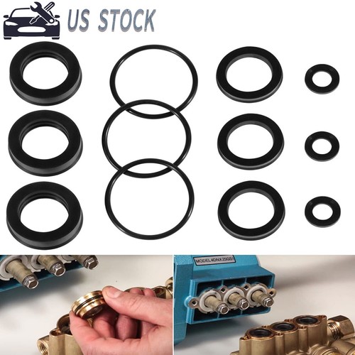 76975 Seal Kit Cat Pump fits for 4DNX Pressure Washer Pump 4DNX25GSI ...