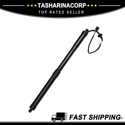 Piece of 1 Rear Lift Gate Struts With Power Liftgate fit for Hyundai ...