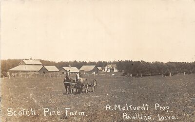 G33/ Paullina Iowa RPPC Postcard c1910 A. Meltvedt Scotch Pine Farm ...