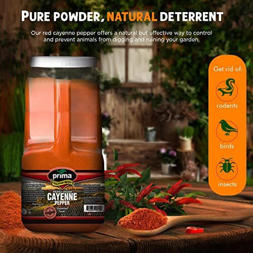 Prima Spice Hot Cayenne Pepper Powder Bulk 5 LBS- Red Ground Pepper ...