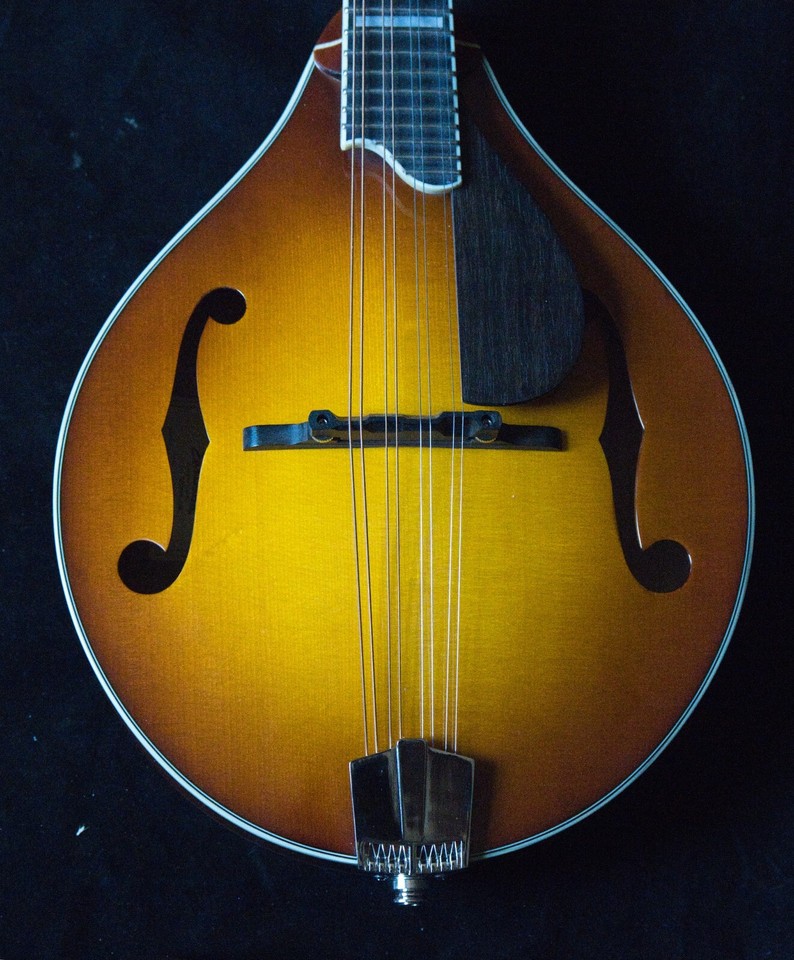 2024 Eastman MD605-GB Accoustic / Electric Mandolin - Goldburst | eBay