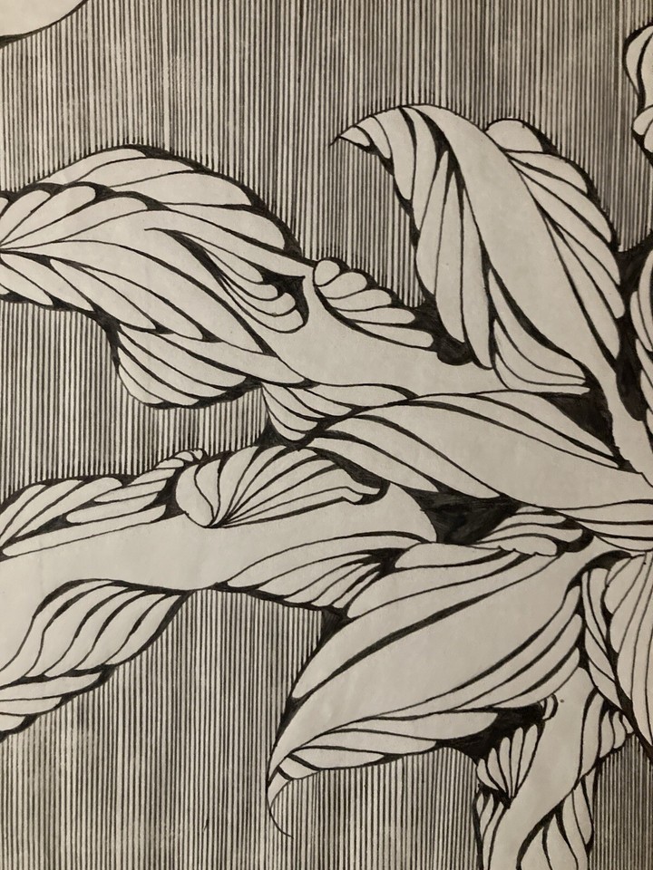 Very Nice Drawing Abstract Ink On Paper 1980 To Identify Flower | eBay UK