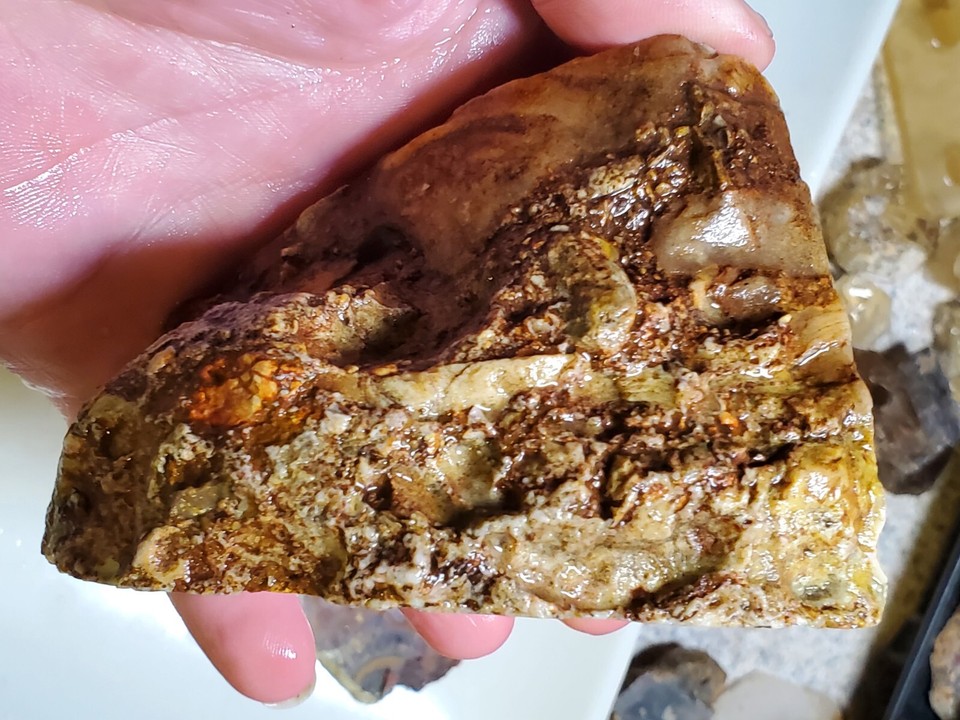 Pink Royal Jasper Rough Chunk Orbicular Mexico Jasper 572g Lapidary ...