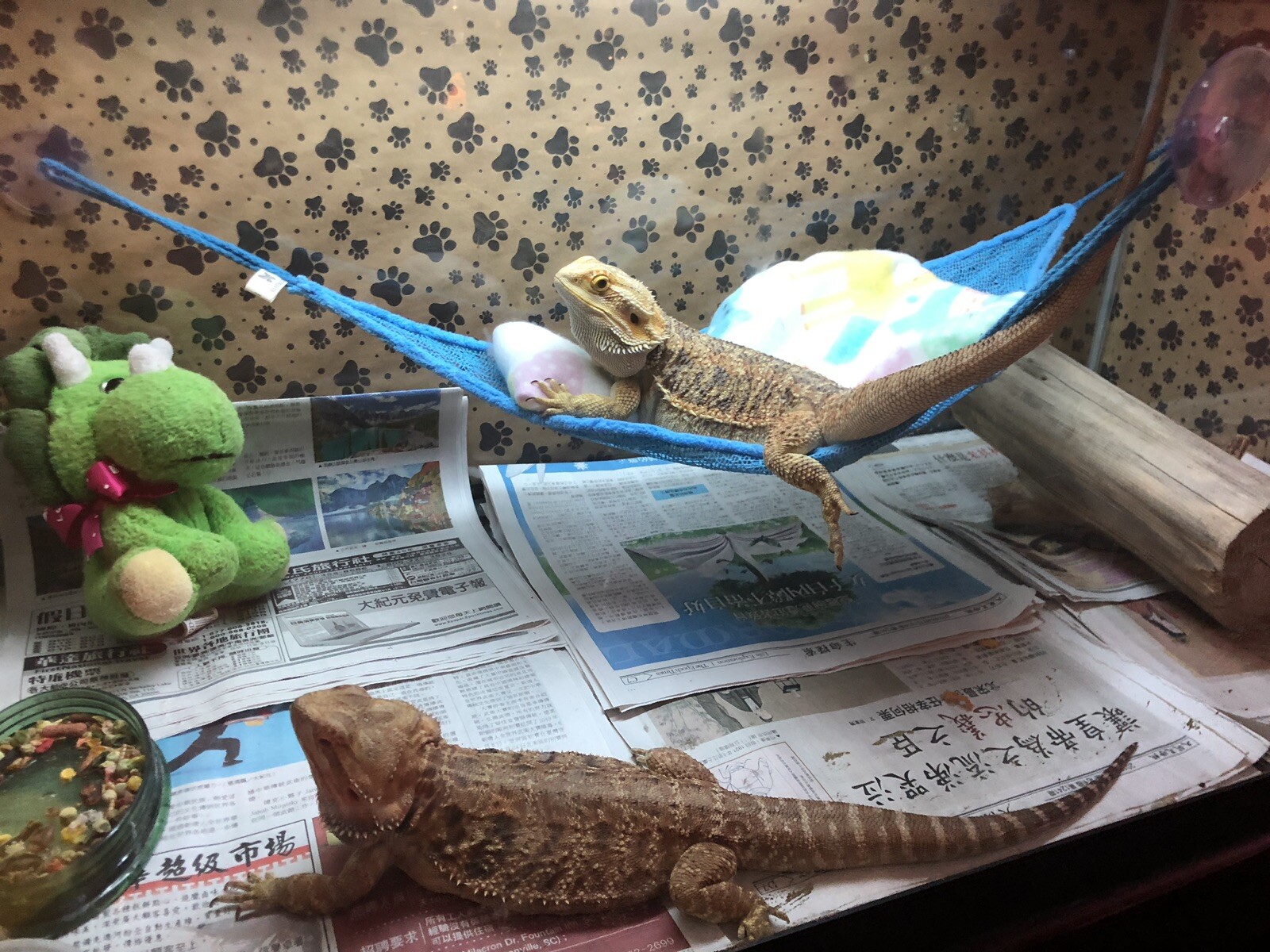 BLUE LRG ATTACHABLE SOFT RESTING HAMMOCKS /PILLOW & BLANKET 4 BEARDED ...