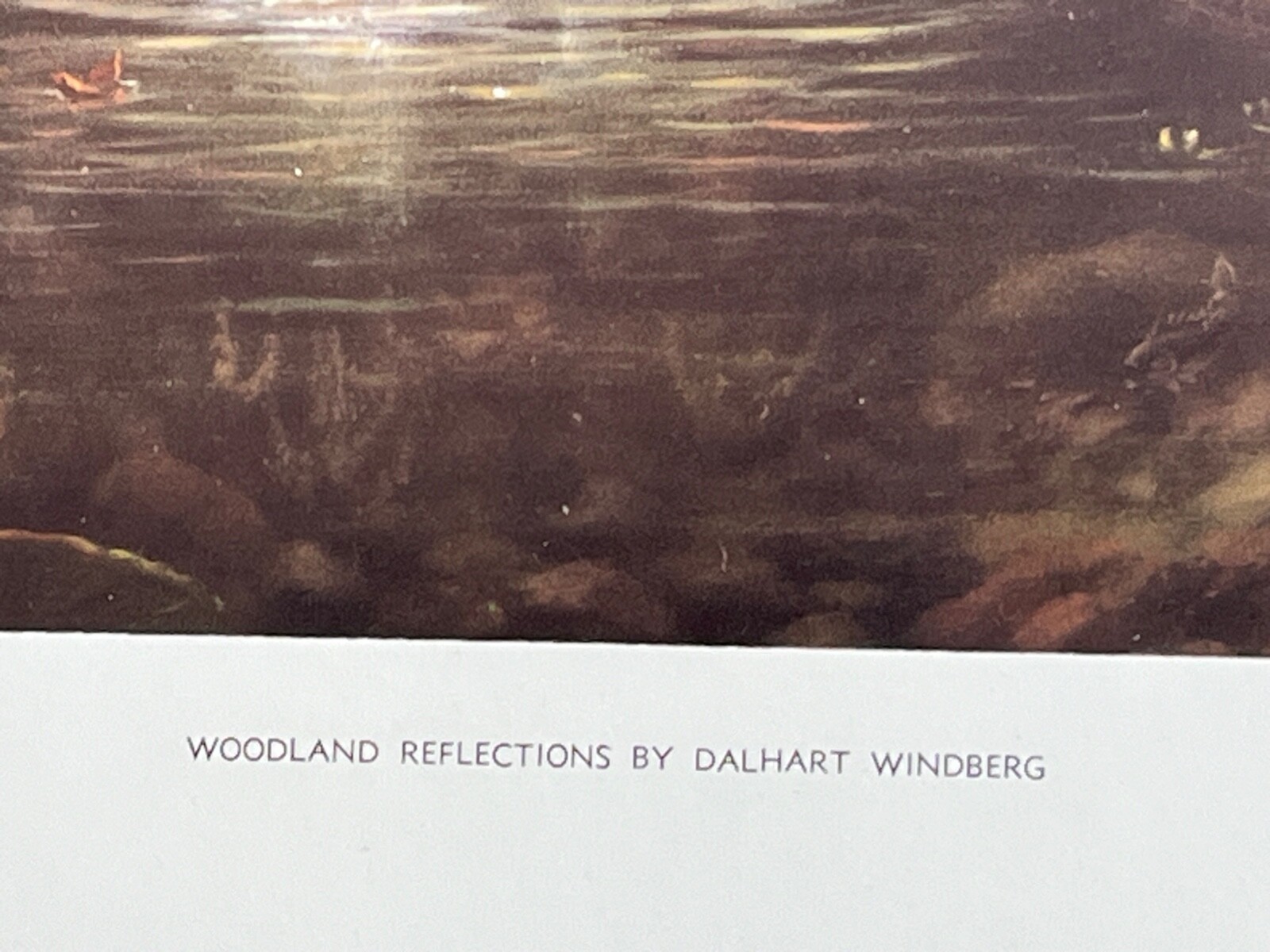 "Woodland Reflections" Open Edition Windberg 1971 Print--Autographed | eBay