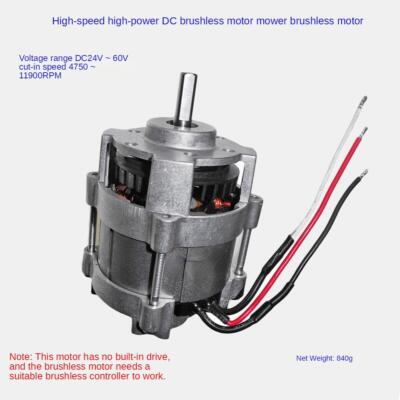 brushless DC motor 36V/48V, strong magnetic motor,lawn mower car ...