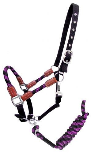 MATCHING HALTER & LEAD ROPE Nylon Halter Leather Accents & Matching 8 ...