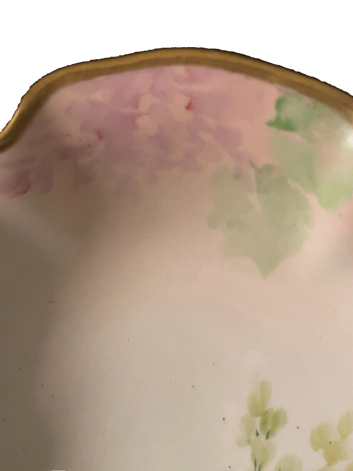 Richard Ginori Italy Bowl Hand Painted Floral Gold Rim Red Backstamp ...