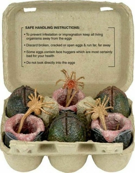 Alien Xenomorph Egg Set in Collectible Carton NECA 6 Eggs Aliens for ...