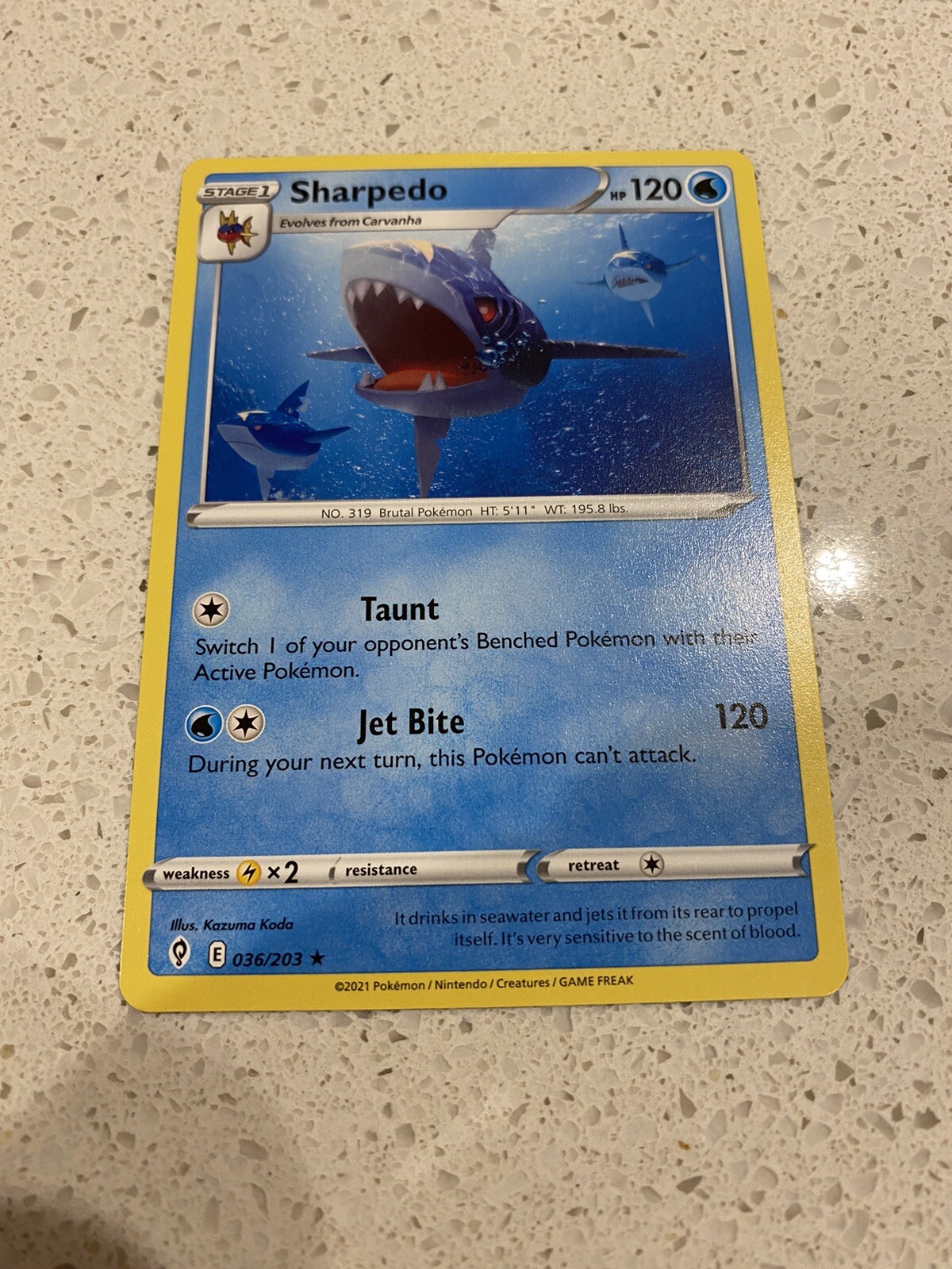 Sharpedo - 036/203 - Rare Non-Holo Evolving Skies Pokemon Card NM+ | eBay