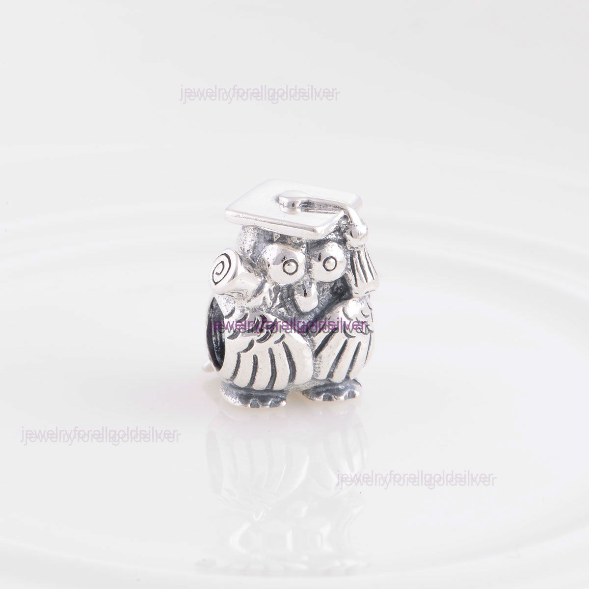 Sterling Silver 925 European Charm Study Owl Graduation Hat & Diploma ...