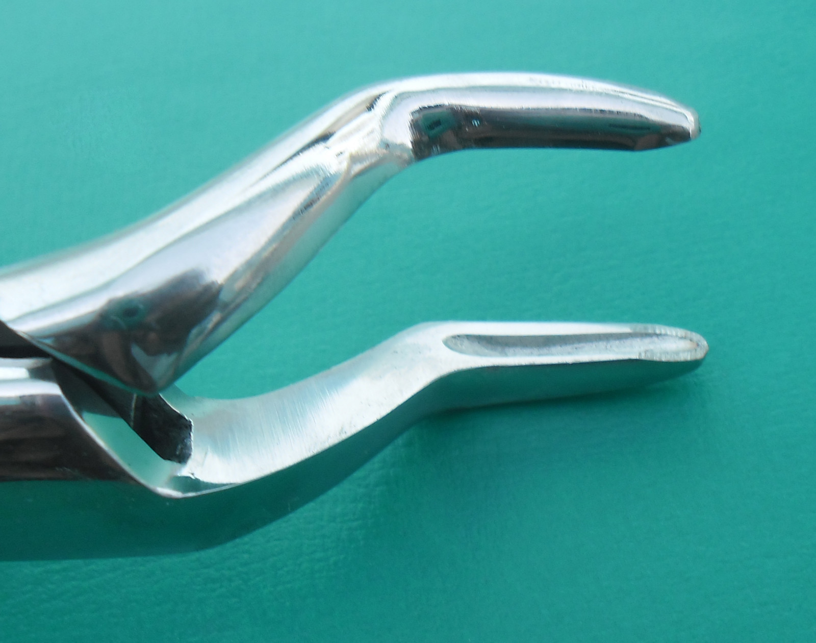 EXTRACTING FORCEPS DENTAL SURGICAL INSTRUMENTS # 286 | eBay UK