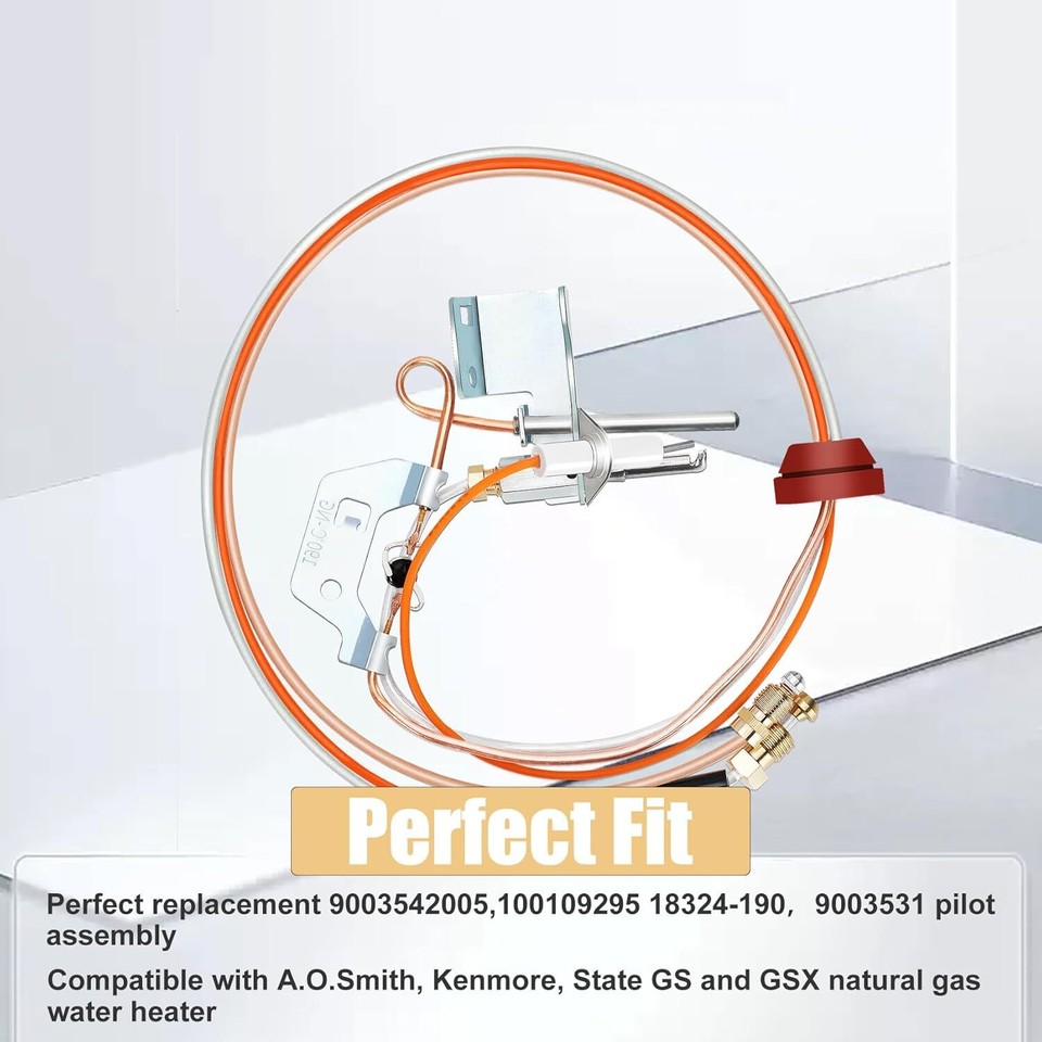 Water Heater Natural Gas Igniter for Reliance 9003542 100109295 For A.O ...