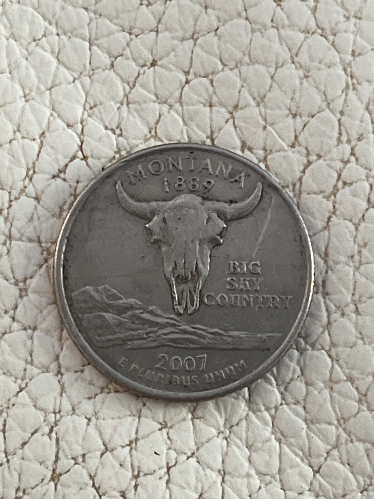 2007 P - Montana - State Quarter | eBay