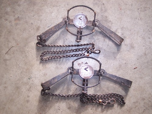 2 VTG Antique Victor Double Long Spring Traps #3 with Offset Jaws ...
