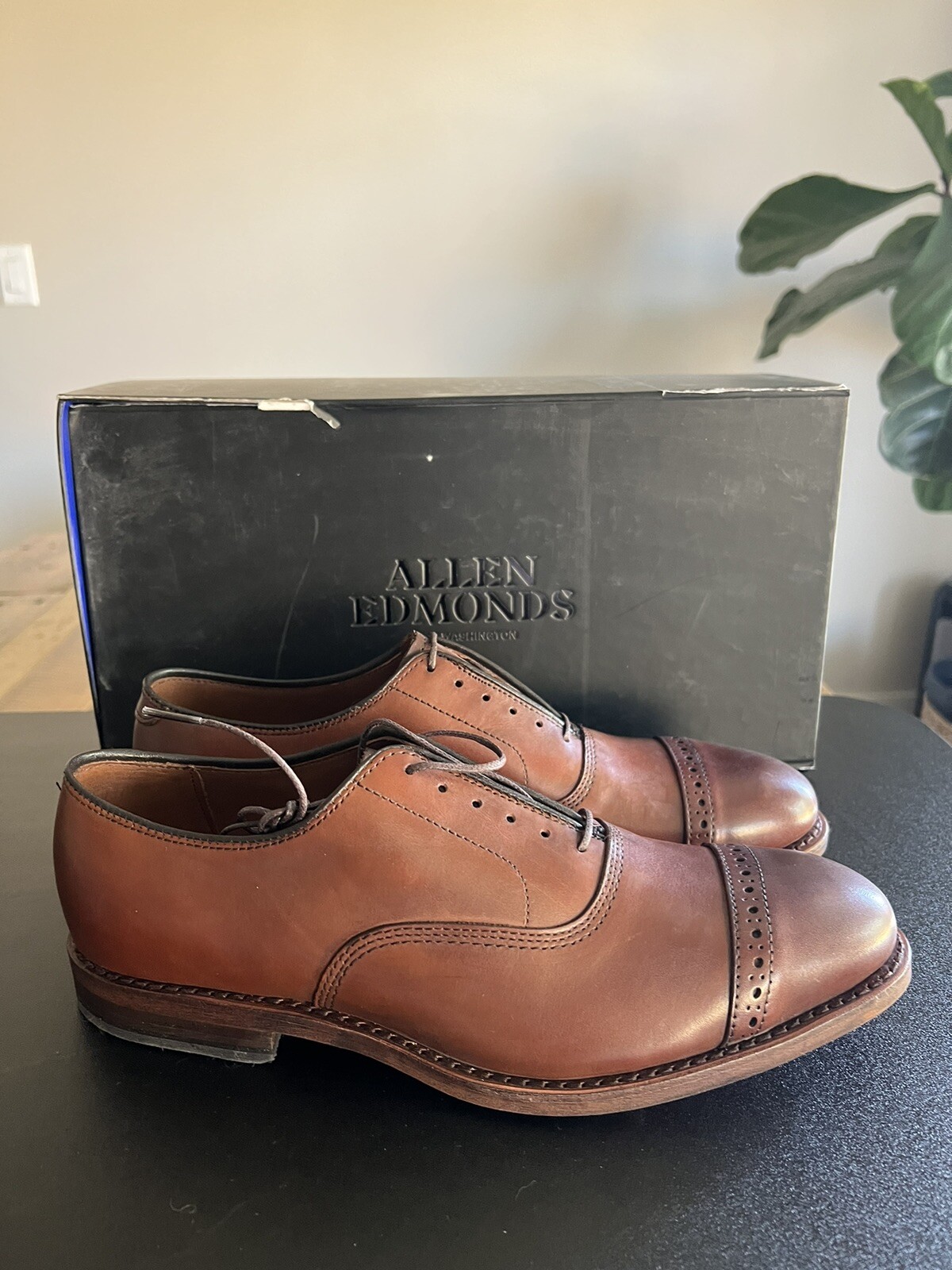 NIB Allen Edmonds Fifth Avenue Cap-toe Oxford Dress Shoe Size8 D Dark ...