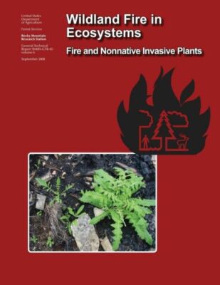 Wildland Fire In Ecosystems: Fire And Nonnative Invasive Plants ...