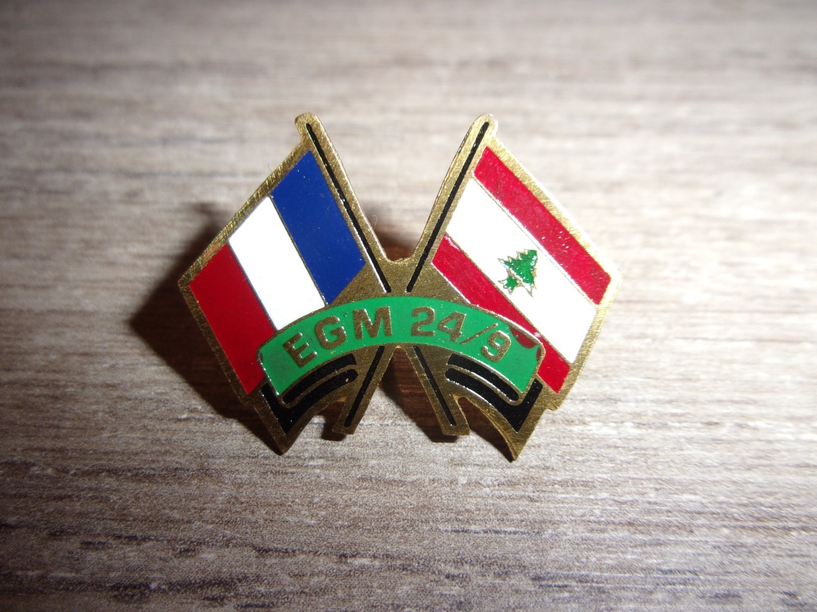 Pin's Escadron de Gendarmerie Mobile 24/9 au Liban - opex - EGM ...