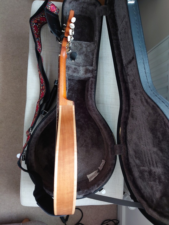 Handmade Celtic Mandolin Walnut & Sitka Spruce, By Small Strings ...