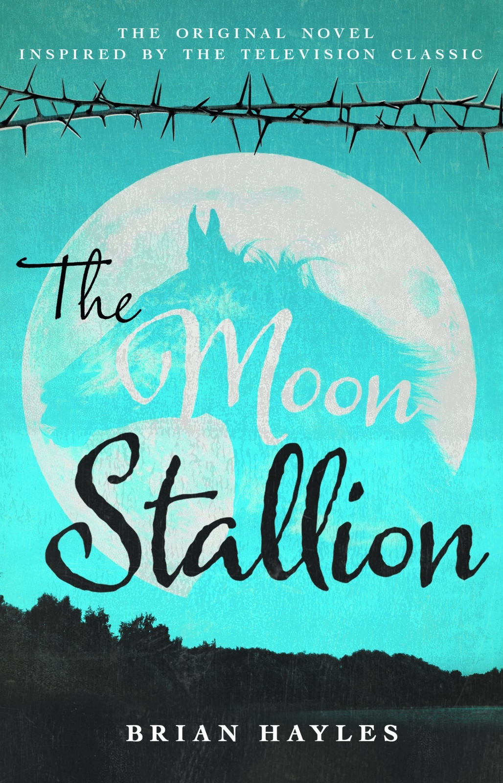 Brian Hayles The Moon Stallion (Paperback) | eBay