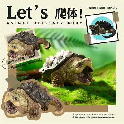 ANIMAL HEAVENLY BODY Alligator Snapping Turtle Figure Model Adult Kids ...