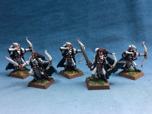 Warhammer WGS Painted High Elf Shadow Warriors Command HE118 | eBay