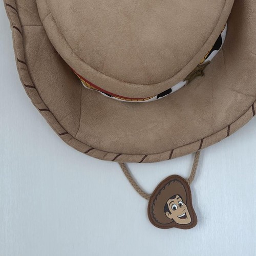 Woody Toy Story Fun Cap DisneySea Disneyland Collectible Hat Used | eBay