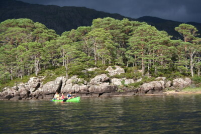 Photo 6x4 The Loch Maree wilderness Talladale In the channel between ...
