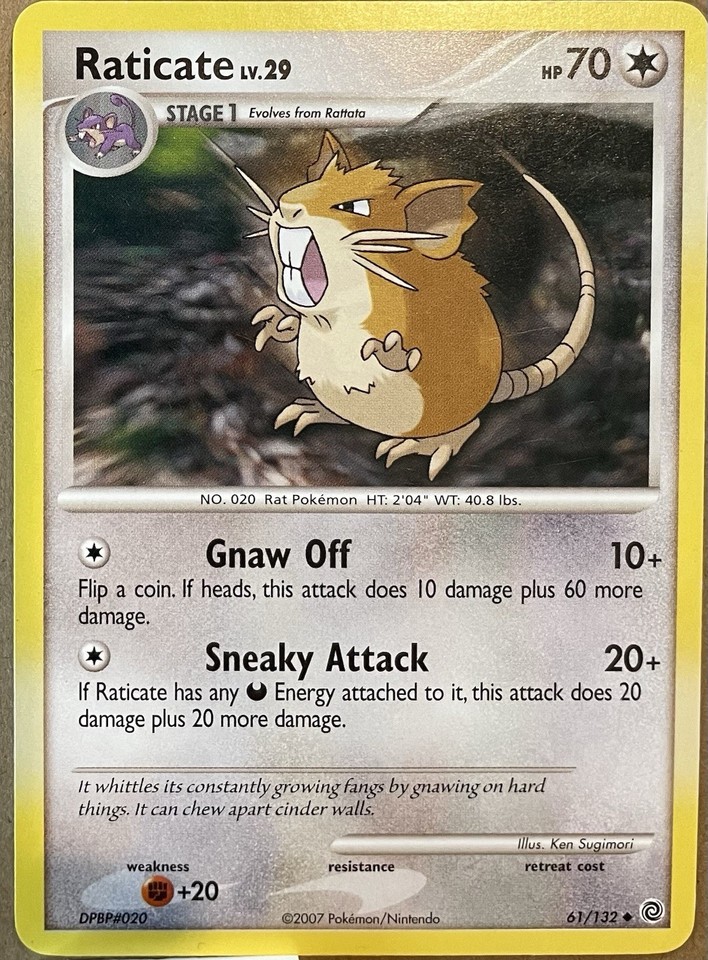 Pokemon Full Evolution Rattata (103) to Raticate (61) Secret Wonders ...