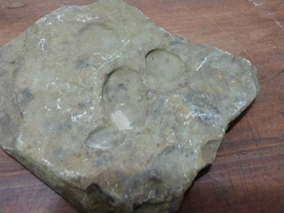 Native American Paleo Indian Artifact Stones Nutting Metates Mortar ...