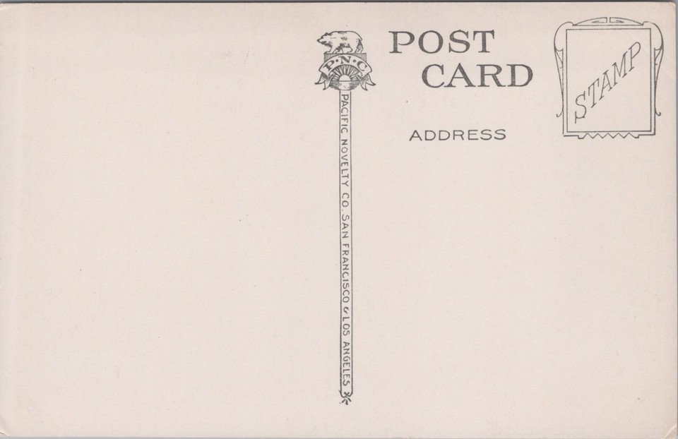 Lone Sentinel 17 Mile Drive Monterey California Vintage Postcard C144 ...