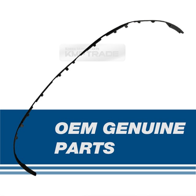 Hyundai OEM 2017 Elantra Front Bumper Grille-lower Deflector 86591F2000 ...