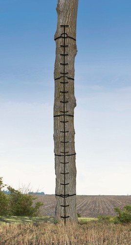 Quick Stick XL Climbing Stick Tree Climbing Gear for Deer Stands | eBay