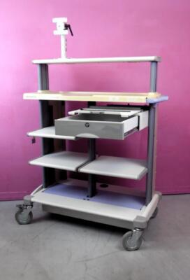 Olympus WM-D60 Workstation Endoscope Endoscopy Cart Stand w/ Video ...