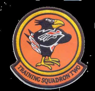 4" NAVY VT-2 DOERBIRDS TRAINING WING SQUADRON HOOK & LOOP EMBROIDERED ...