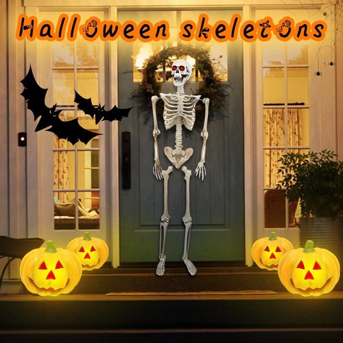 Halloween Skeleton Set Props Haunted House Decoration Horror Toys D3P7 ...