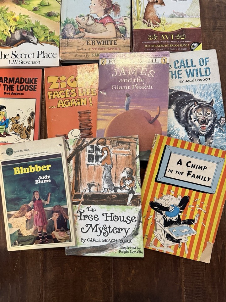 16 VTG Classic Chapter Comic Books Lot Marmaduke, Ziggy, Judy Blume, DC ...