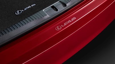 LEXUS OEM FACTORY REAR BUMPER APPLIQUE 2016-2020 GS-F GSF | eBay