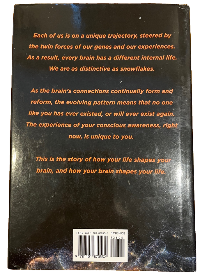 Brain : The Story of You by David Eagleman (2015, Hardcover), VG ...